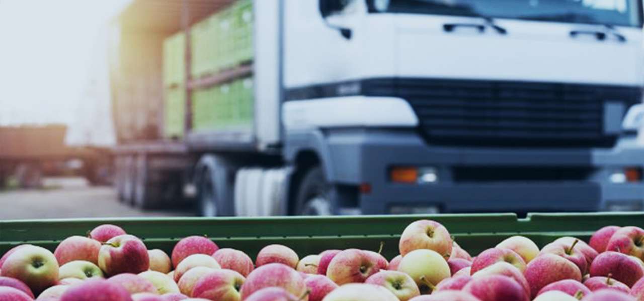 Transporte de perecíveis: conheça os principais cuidados - Blog - CargOn